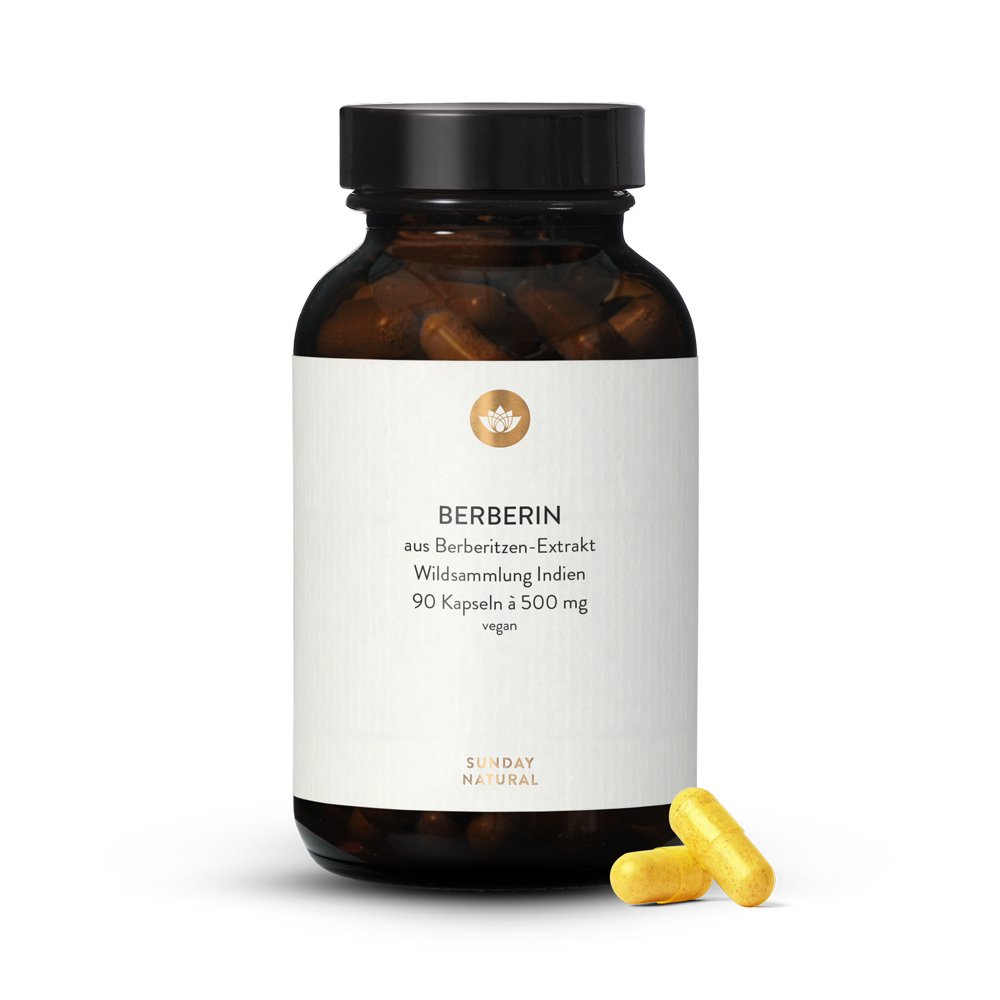 Berberin 500mg Kapseln