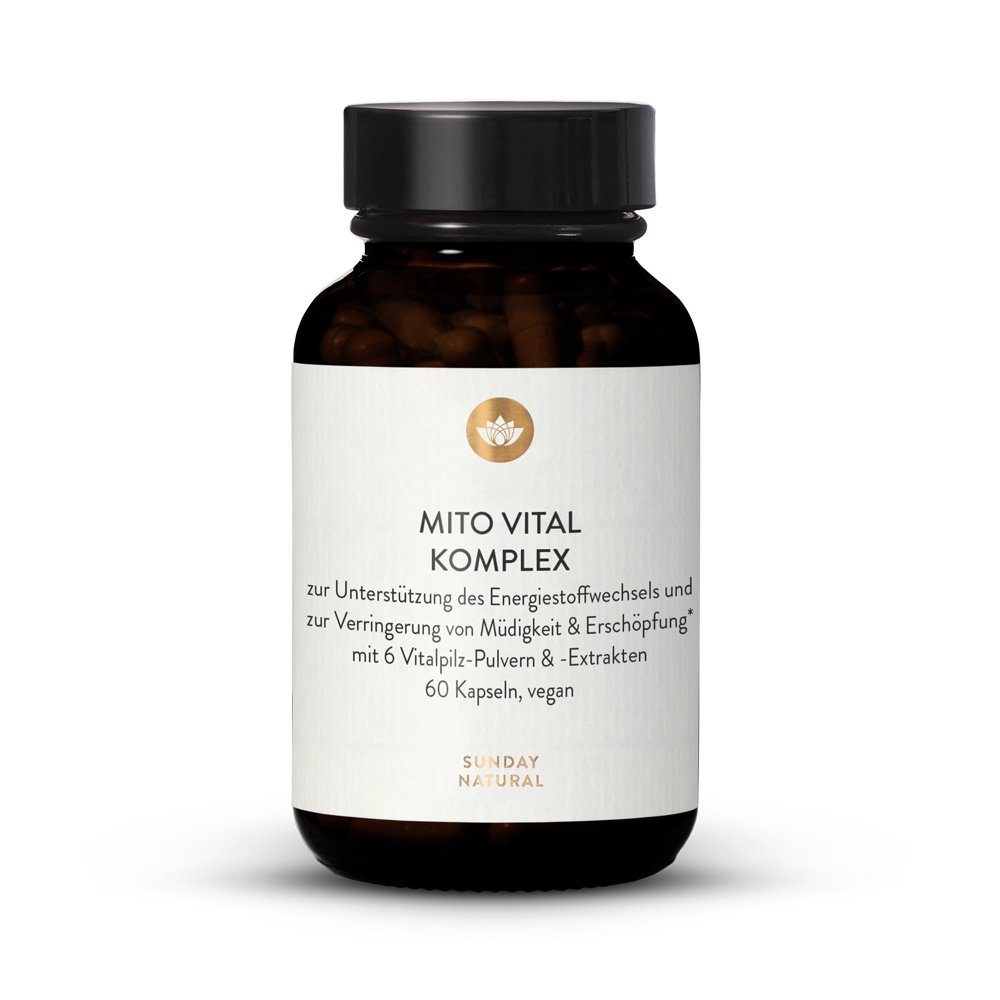 Mito Vitalpilze Komplex + Vitamin B2, B3, B5 für Energie, gegen Müdigkeit