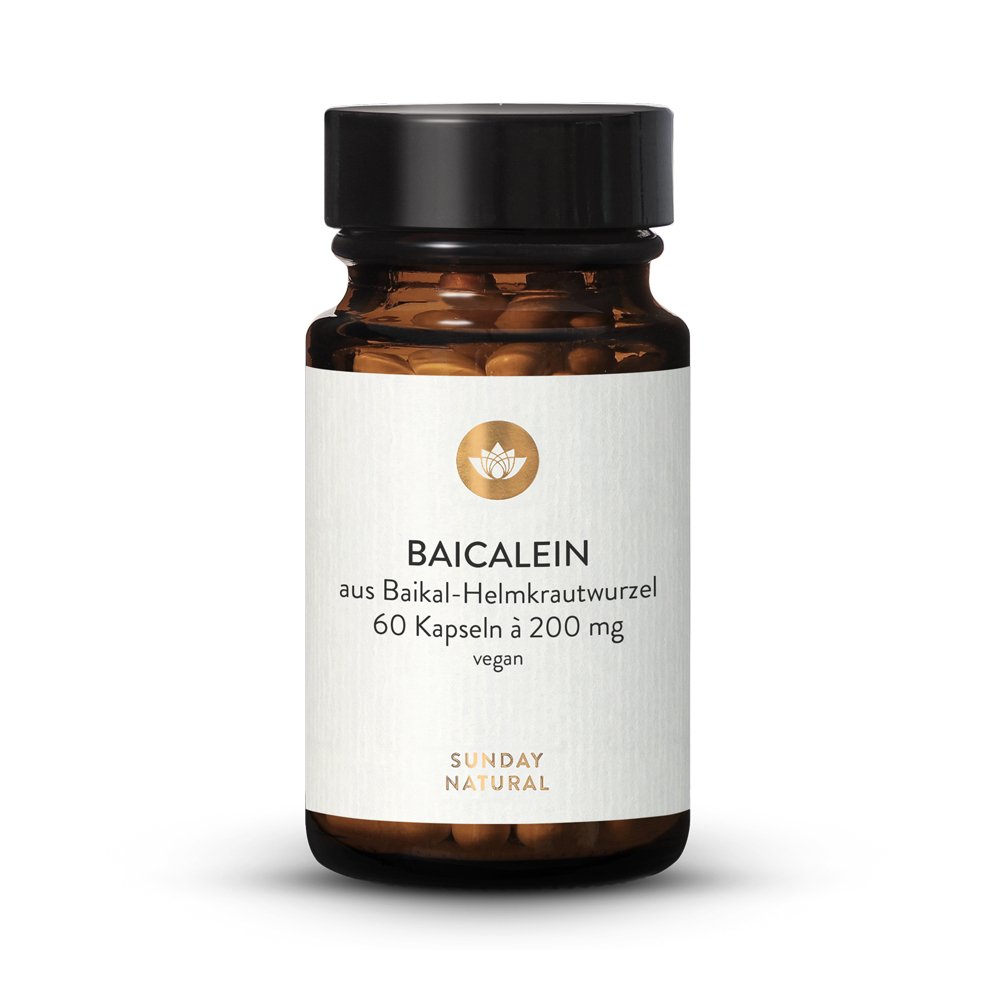 Baicalein from Natural Baikal Skullcap Root Extract. 60 Capsules ...
