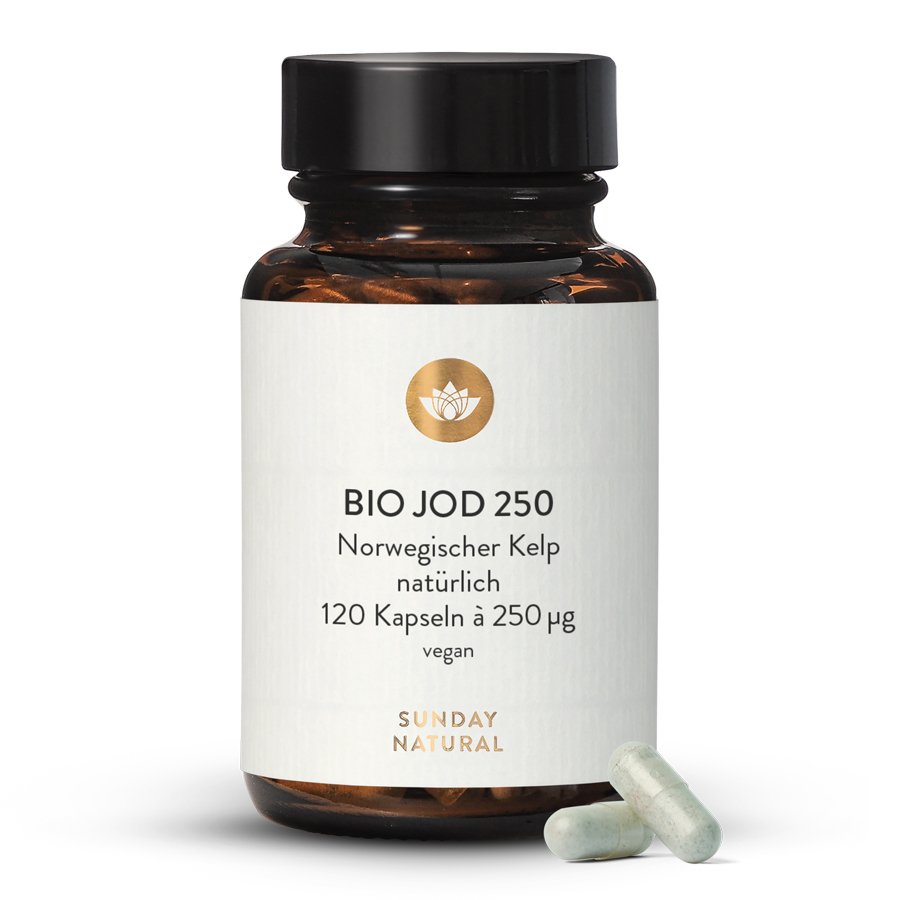 Bio Jod 250µg natürlich aus Norwegischem Kelp 120 Kapseln | Sunday Natural