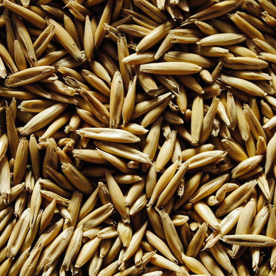 Flocons d'avoine Bio germés, qualité crudité, sans gluten, qualité ...