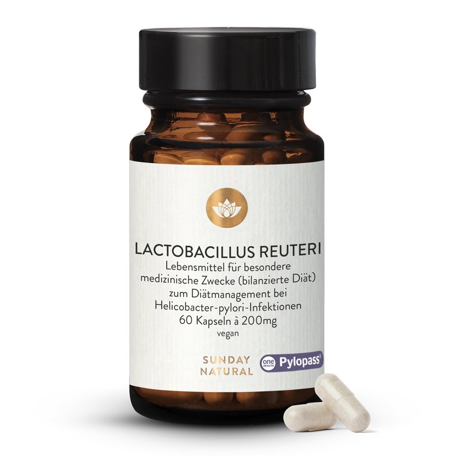 Lactobacillus reuteri: Pylopass® 200mg. 60 Capsules | Sunday Natural