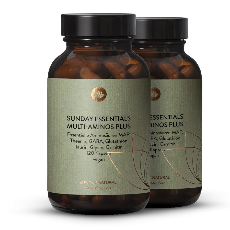 Aminosäuren Komplex Plus mit Glutathion, GABA, Carnitin. 120 Kapseln