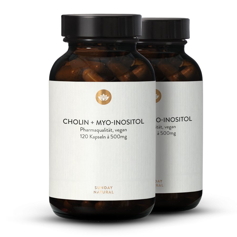 Cholin Inositol Komplex bioaktiv 500mg 2x120 Kapseln | Sunday Natural