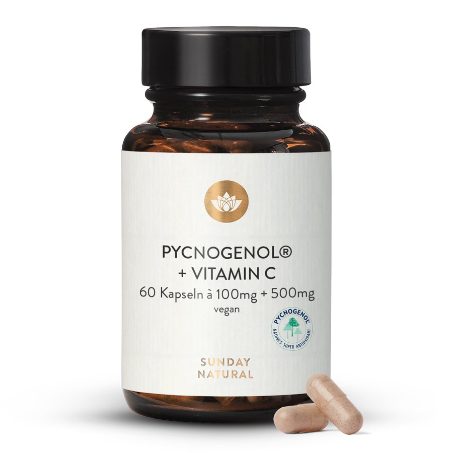 Pycnogenol ® Kiefernrindenextrakt Original aus Frankreich | Sunday Natural