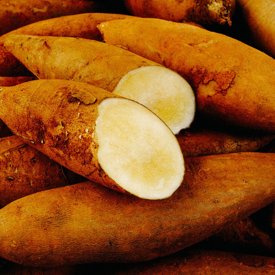 Organic Yacón Root Powder in Premium Raw Quality from Peru. Natural ...