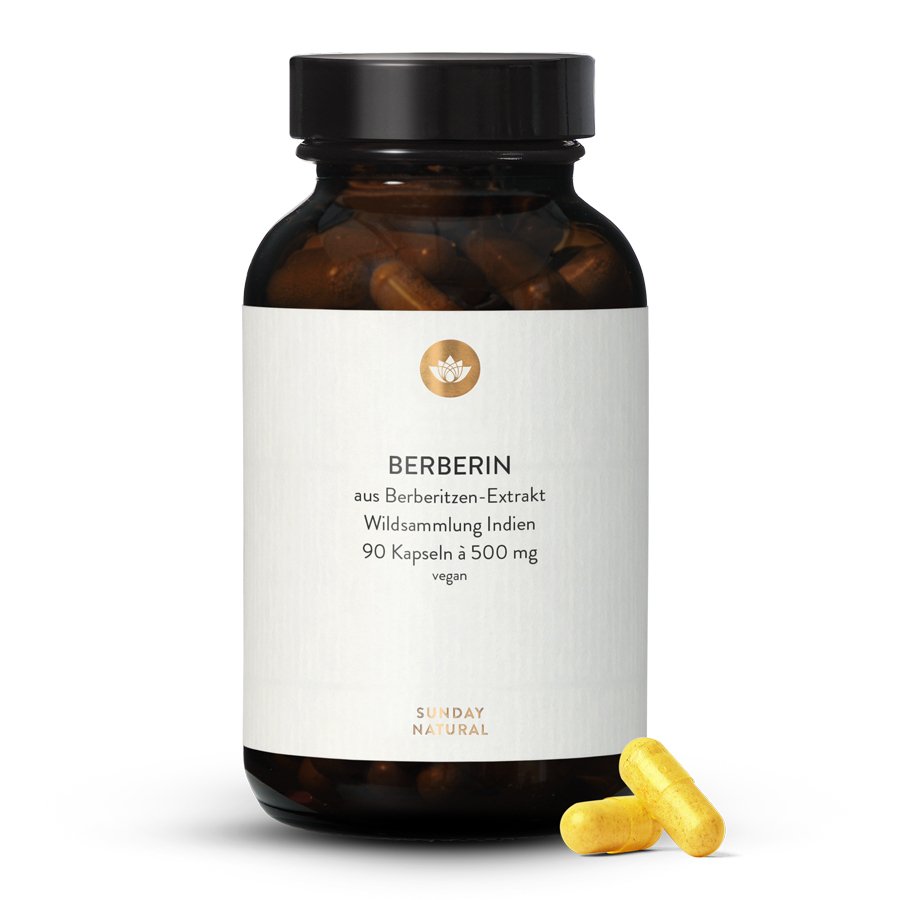 Berberine Extract 500mg. Ethanol Extract. 90 Capsules | Sunday Natural