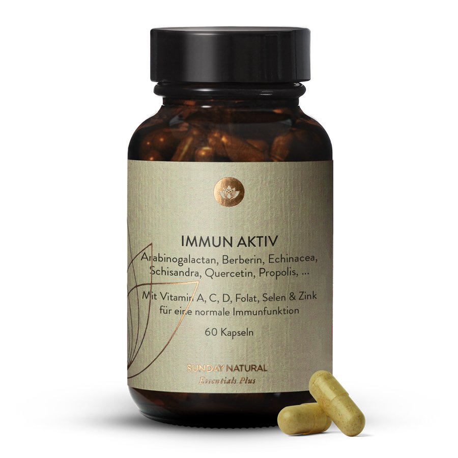 Immun Aktiv Premium-Komplex. 23 Vitalstoffe. 60 Kapseln