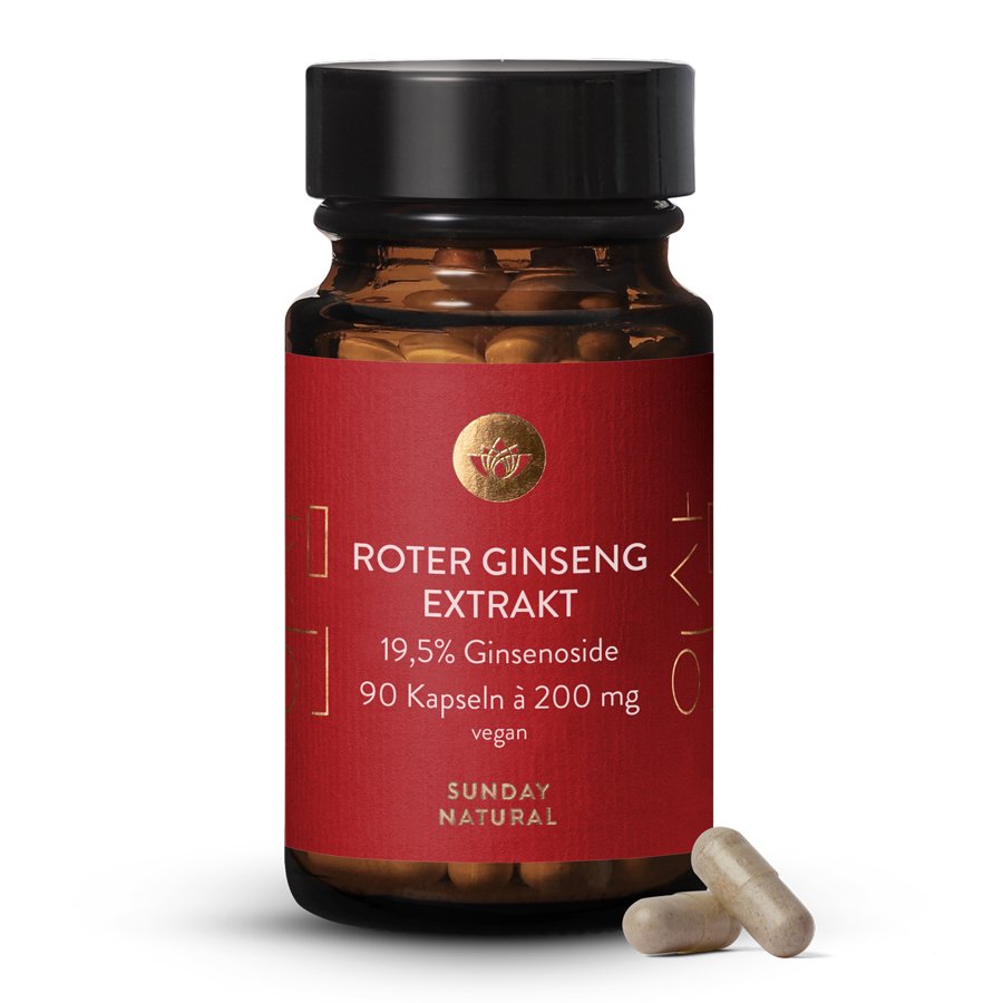 Roter Ginseng Extrakt 19,5% Ginsenoside Original Panax 90 Kapseln ...