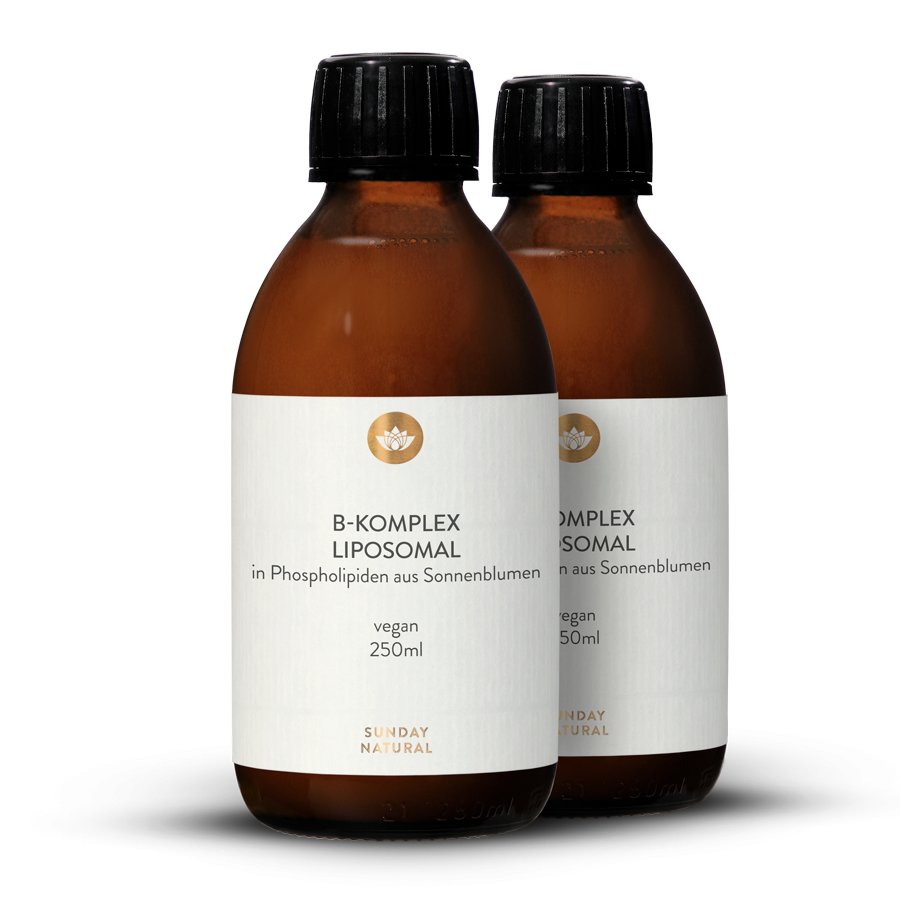 Liposomaler B-Komplex, hoch bioverfügbar, vegan, 2x 250ml | Sunday Natural