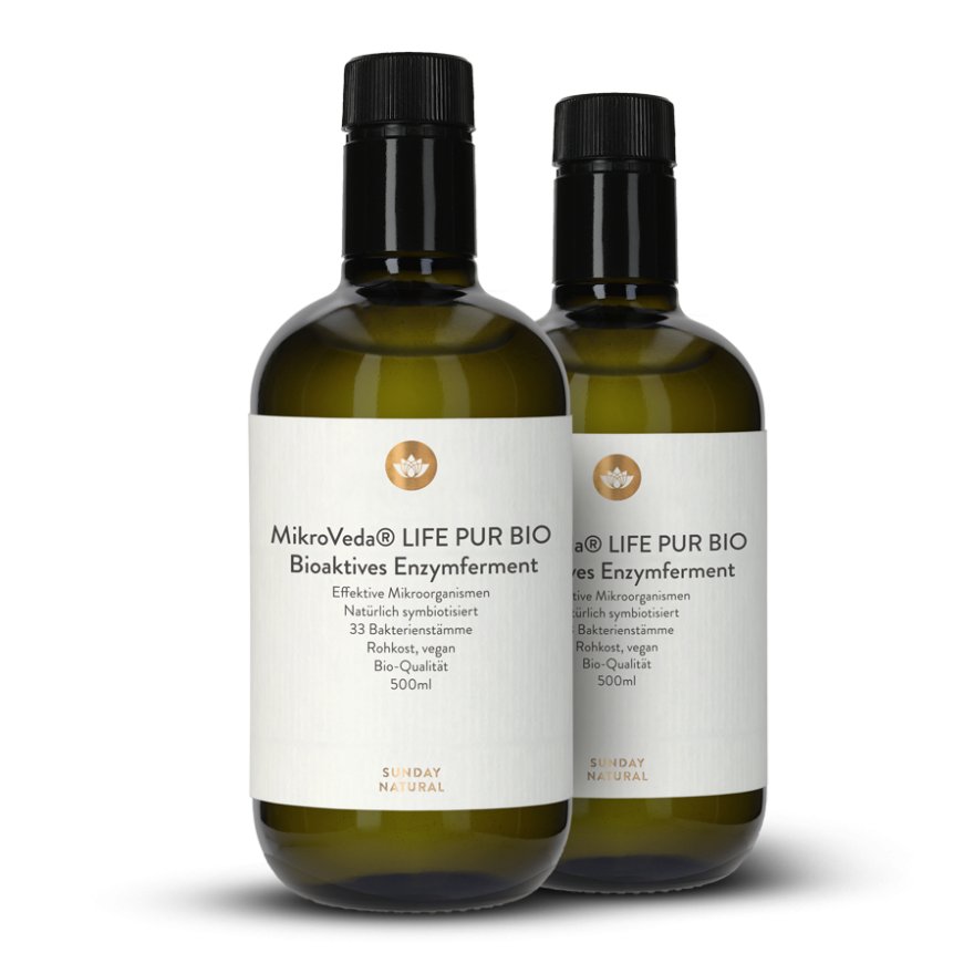 Probiotics - Effective Microorganisms for Supporting Gut Flora