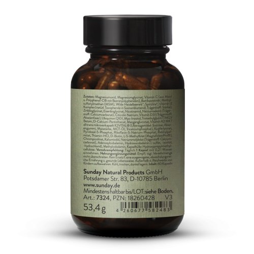Multivitamin One A Day - 1 Kapsel am Tag. 60 Kapseln