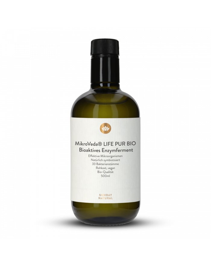 Probiotics - Effective Microorganisms for Supporting Gut Flora | Sunday ...