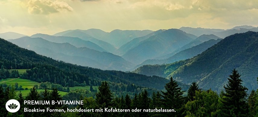 Vitamin-B-Komplex Kapseln Hochdosiert: Forte & Rein pflanzlich - Sunday ...